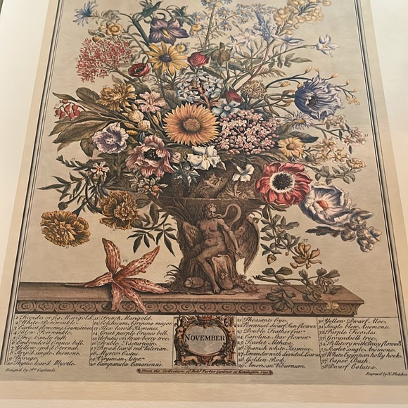 Art | Robert Furber 12 Months Of Flowers Vintage 1964 Prints Great ...